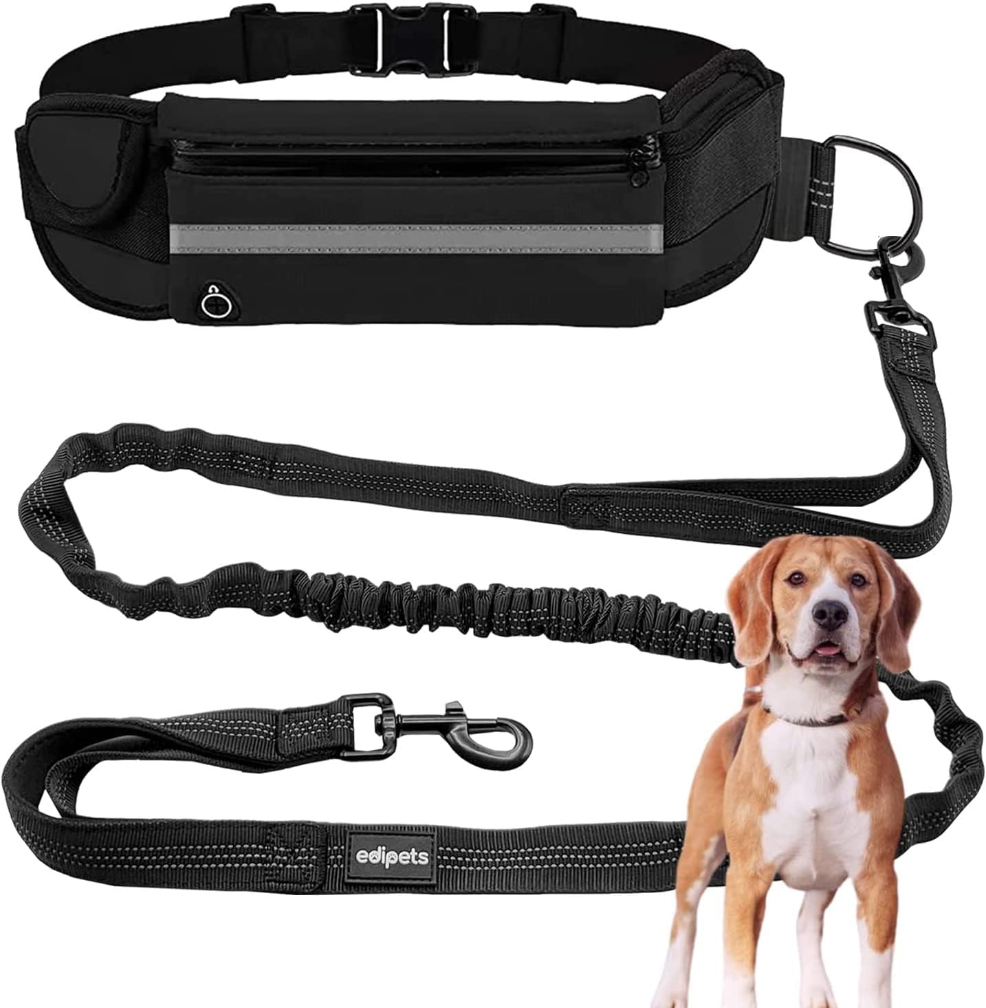 Waist Belt with Lead for Medium-Sized and Large Dogs : Amazon.co.uk ...
