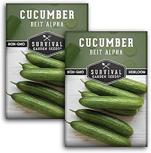 Amazon.com : Beit Alpha Cucumber Seeds for Planting | Crisp Burpless ...