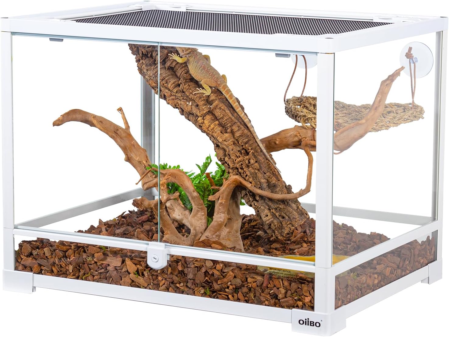 Amazon.com : OIIBO 34 Gallon Reptile Terrarium, 24" x 18" x 18" Glass ...