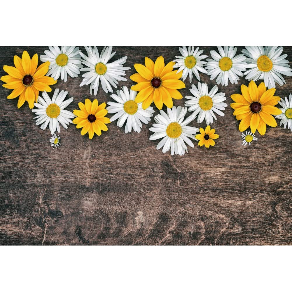 Vintage Daisy Photography