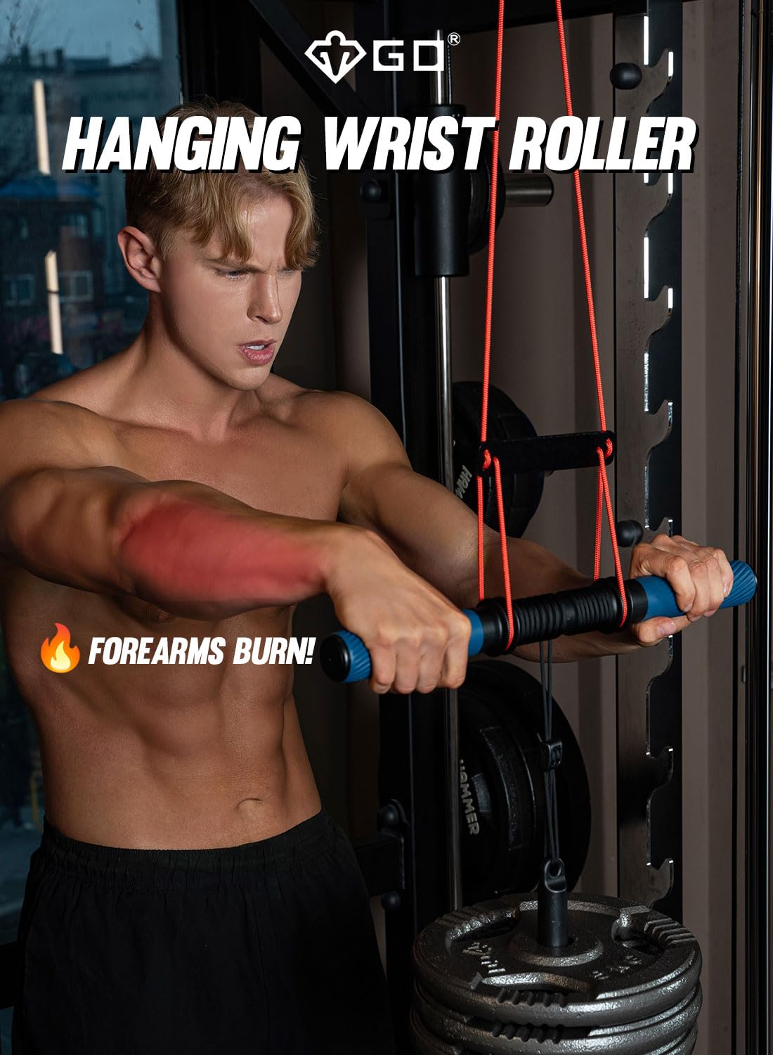 Snapklik.com : GD Hanging Wrist Roller Forearm Blaster- Forearm ...