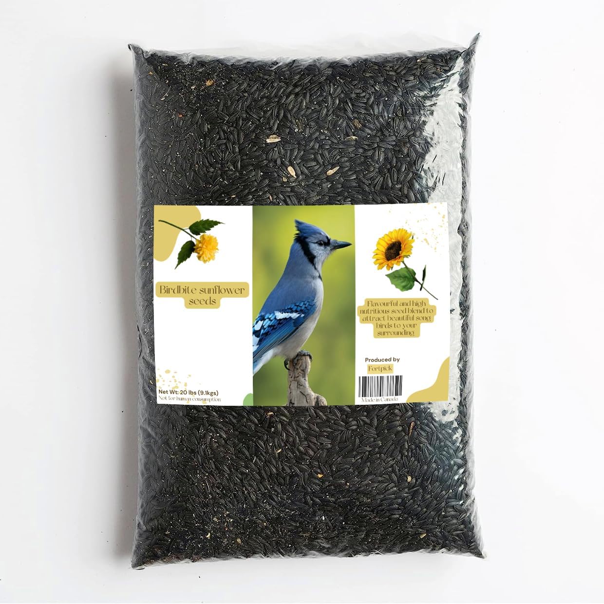 Black Oil Sunflower Seeds for Birds (10 Pound), Birds Seed for Outside ...