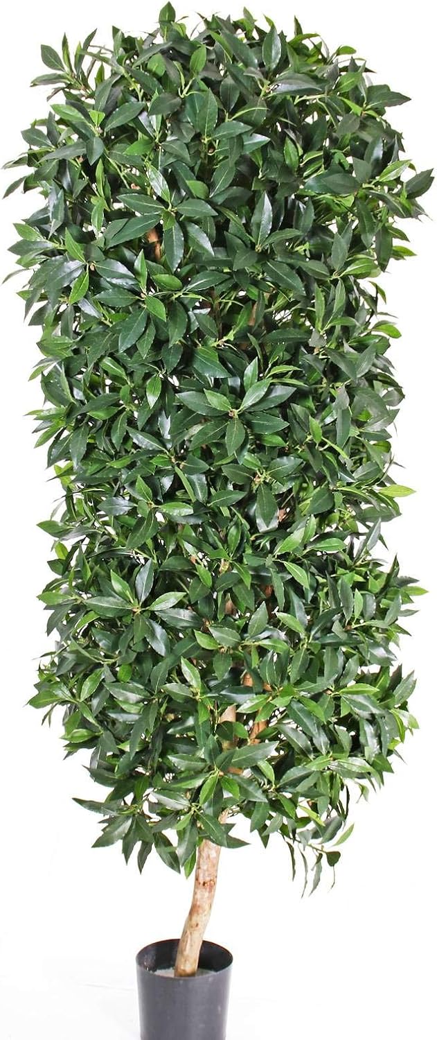 Amazon.com: Artificial Bay Laurel Tree Column Topiary, potted, 2, 890 ...