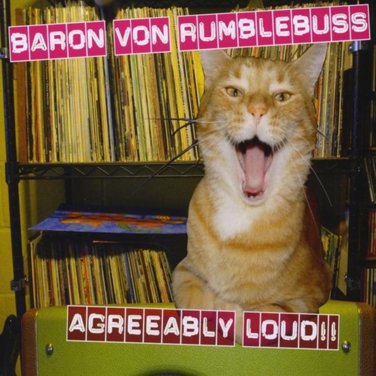 Maze / Petting Zoo Bounce House song by Mike Phirman from Activity ...