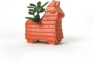 Amazon.com: Gift Republic Pinata Planter : Patio, Lawn & Garden