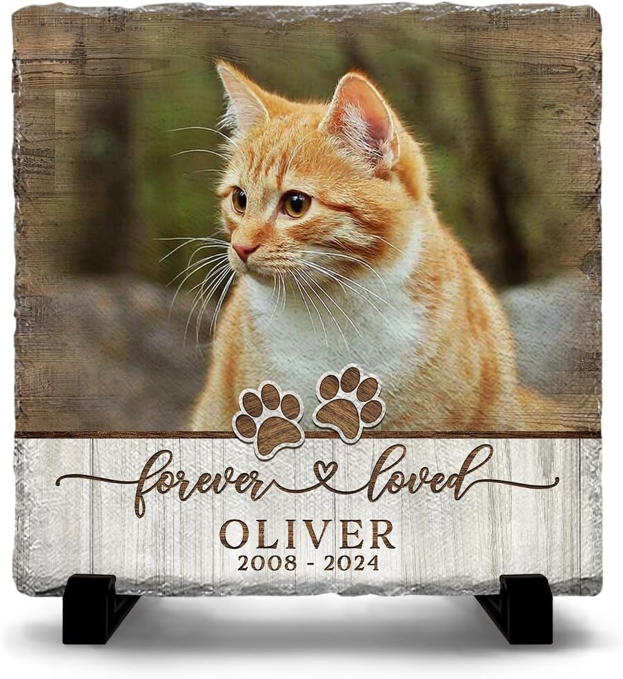 Amazon.com : SOL VIBES Custom Memorial Stones for Cats - Personalized ...