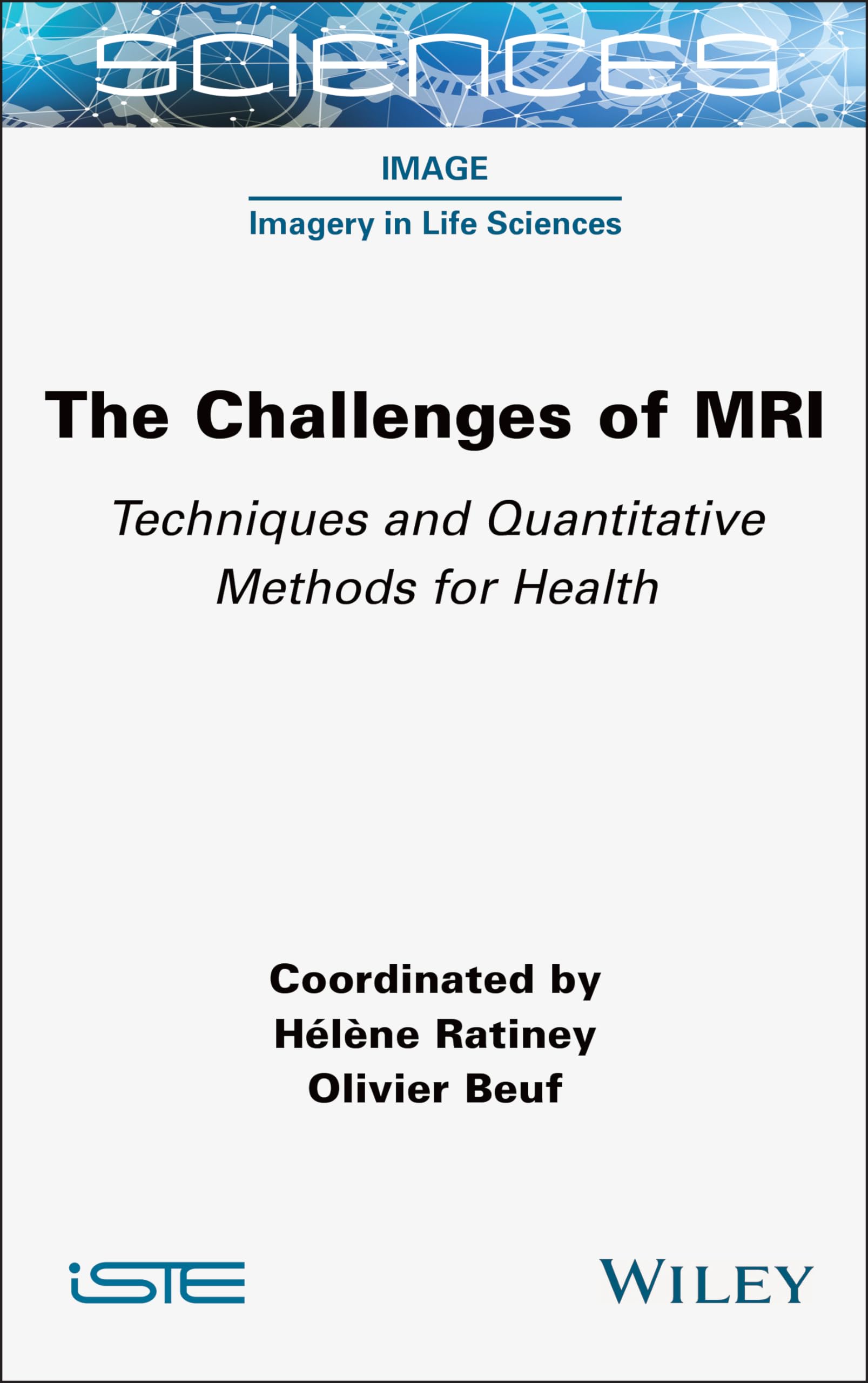 The Challenges of MRI: Techniques and Quantitative Methods for Health ...