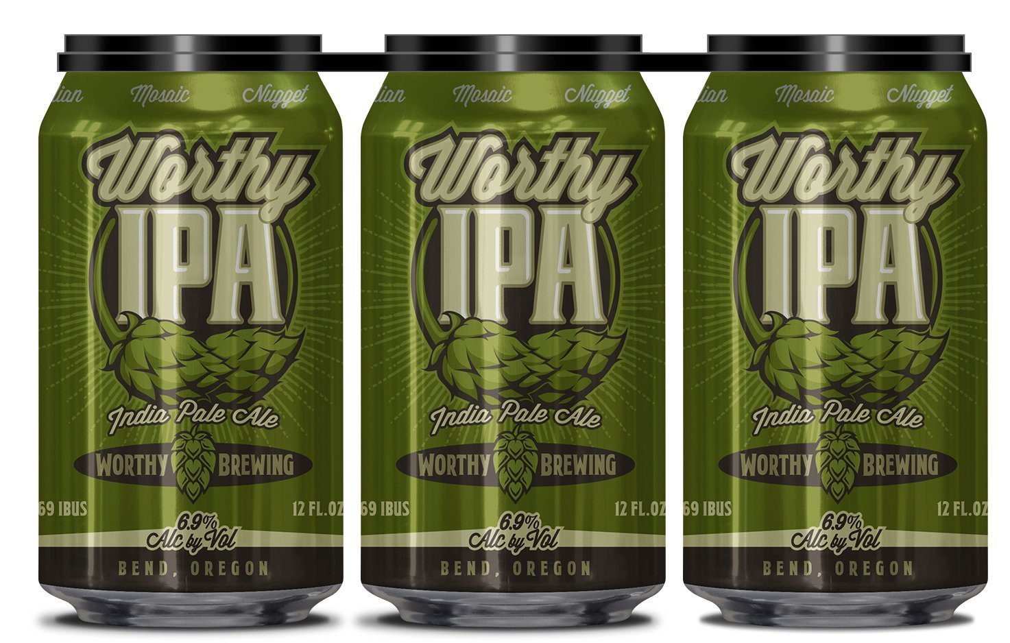 Amazon.com: WORTHY BREWING Ipa 6 Pack, 12 FZ : Grocery & Gourmet Food