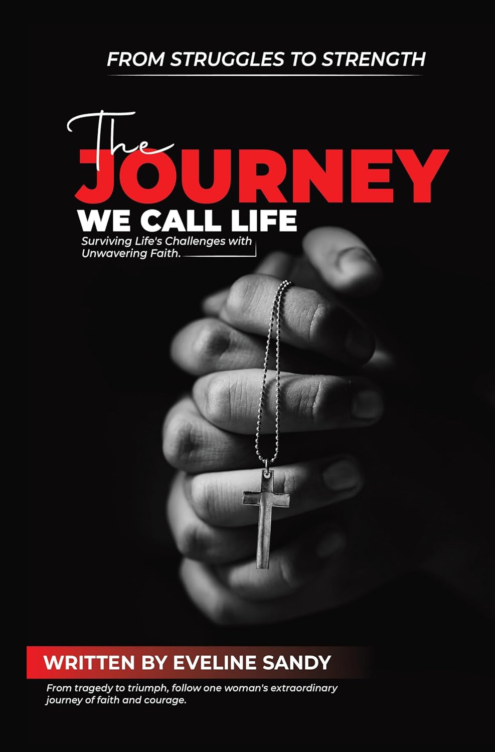 Amazon.com: The Journey We Call Life: Surviving Life's Challenges with ...