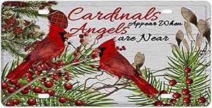 Amazon.com: Metal Car Plate Cardinals Appear When Angels are Near ...