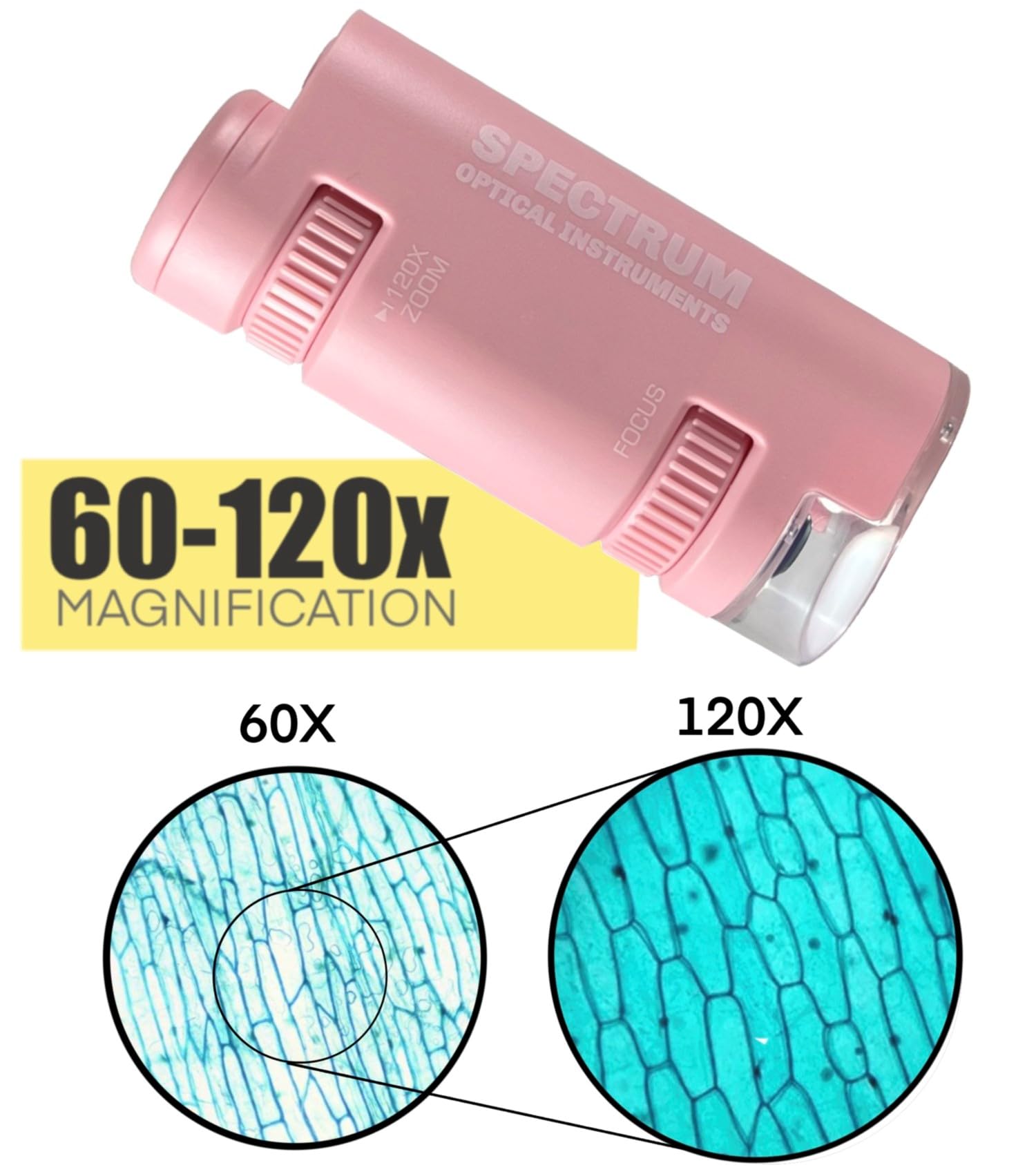 Snapklik.com : EasyMicro 60x-120x LED Lighted Zoom Microscope