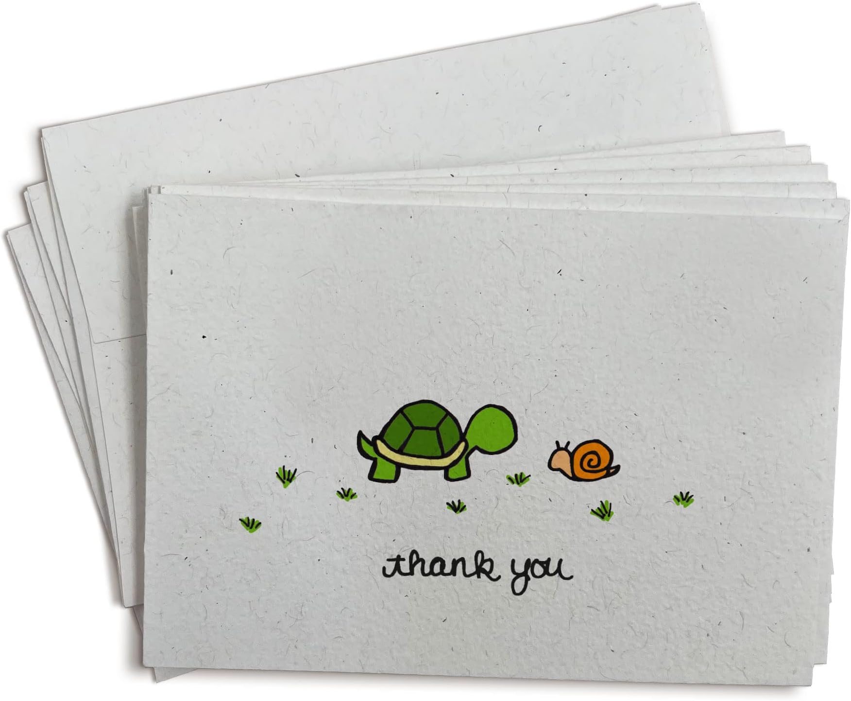 Amazon.com : iGifts And Cards Cute Turtle Thank You 3D Pop Up Greeting ...
