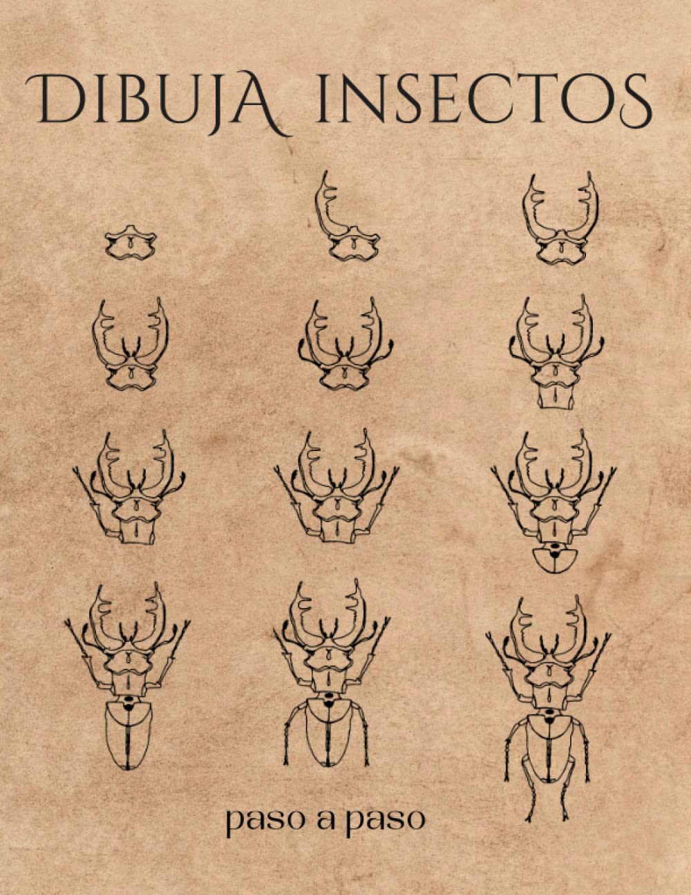 DIBUJA INSECTOS PASO A PASO: Cuaderno de dibujo para jóvenes y adultos ...
