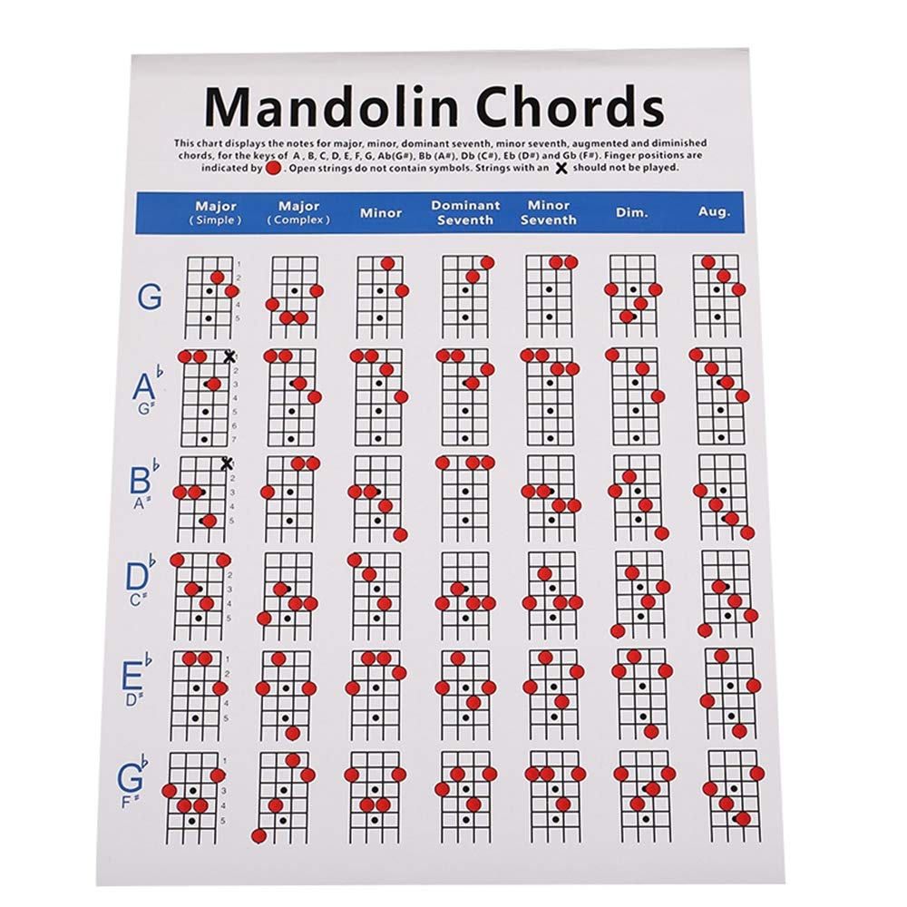 Mandolin Fretboard And Chord Chart Instructional Poster Fingering Chart ...