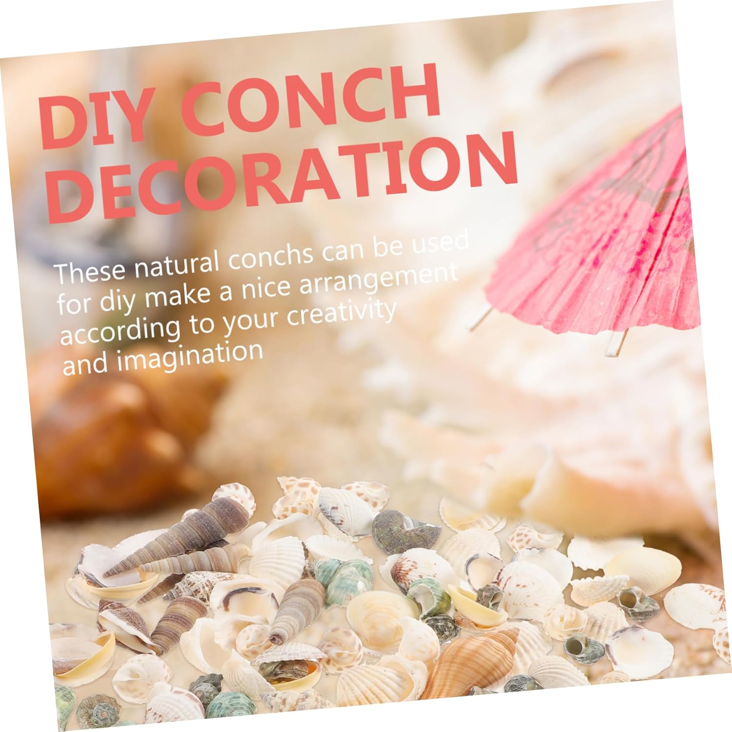 Toddmomy 1 Box Decor DIY Conch Adorn DIY Conch Craft Aquarium Conch ...