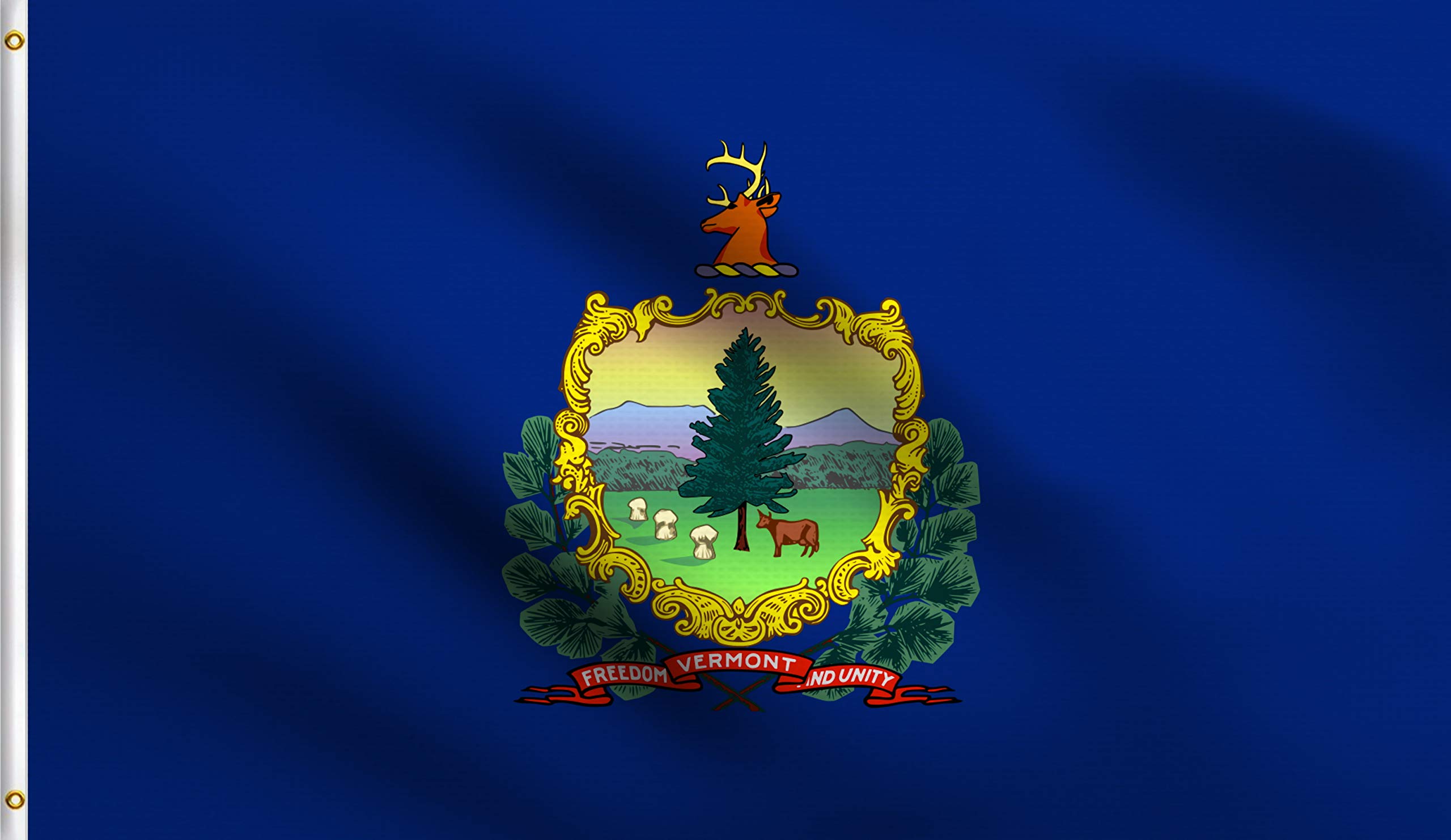 Amazon.com : DMSE Vermont 14th State 1791 Flag 2x3 Ft Foot 100% ...