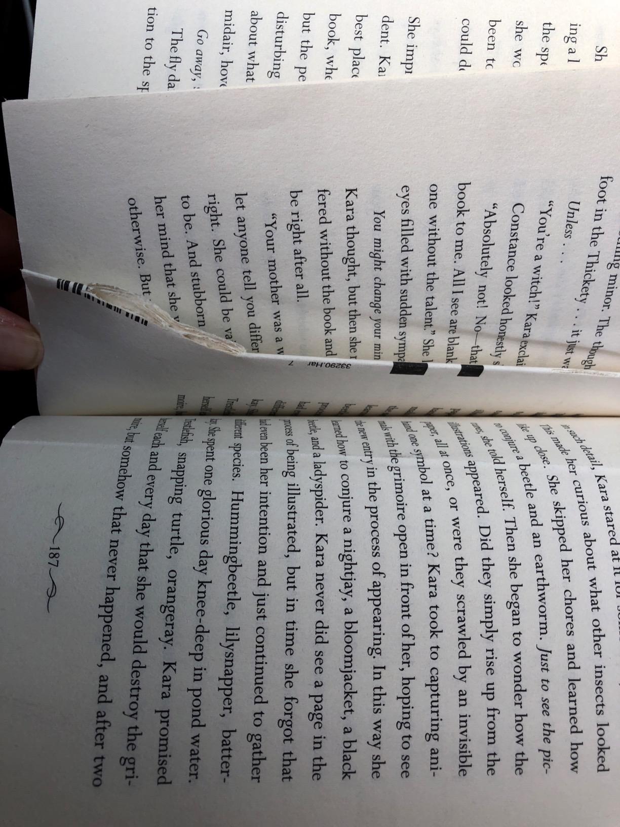 The Thickety: A Path Begins (The Thickety, 1): White, J. A., Offermann ...