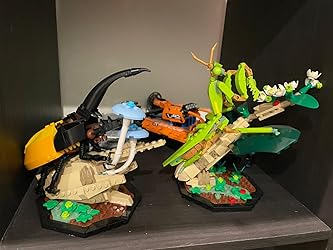 Amazon.com: LEGO Ideas The Insect Collection, Fun Gift for Nature ...