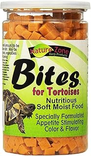 Can Tortoises Bite? The Truth About Tortoise Biting Behavior | PetShun