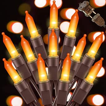 LAMPHOME Orange Halloween Light, 100 Count 20FT String Light,120V UL ...