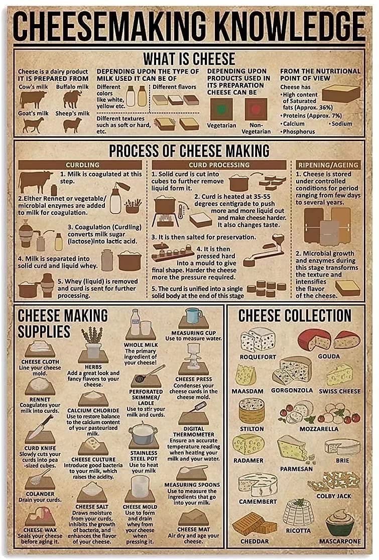 Cheese Infographic Poster