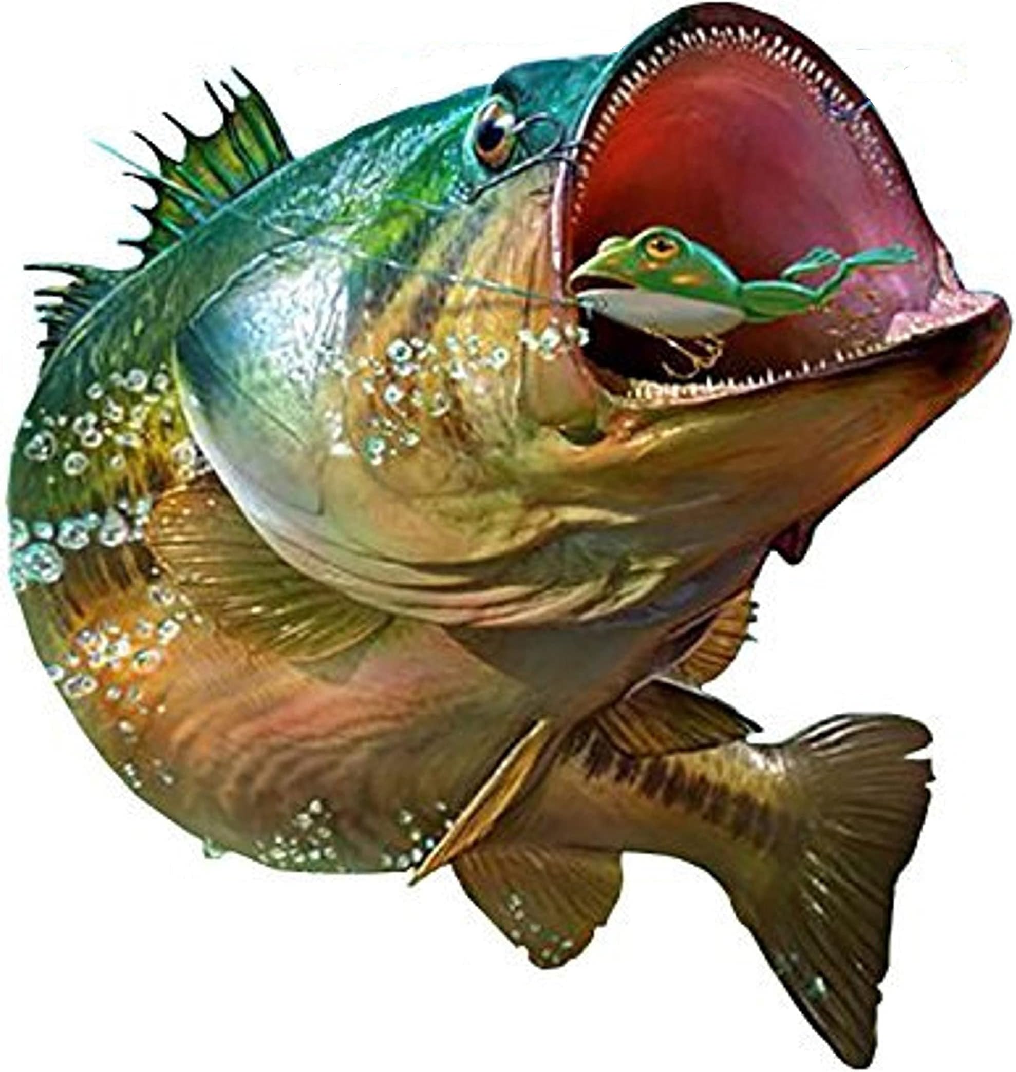 Amazon.com - Rogue River Tactical Large 8" Bass Fish Sticker Decal ...