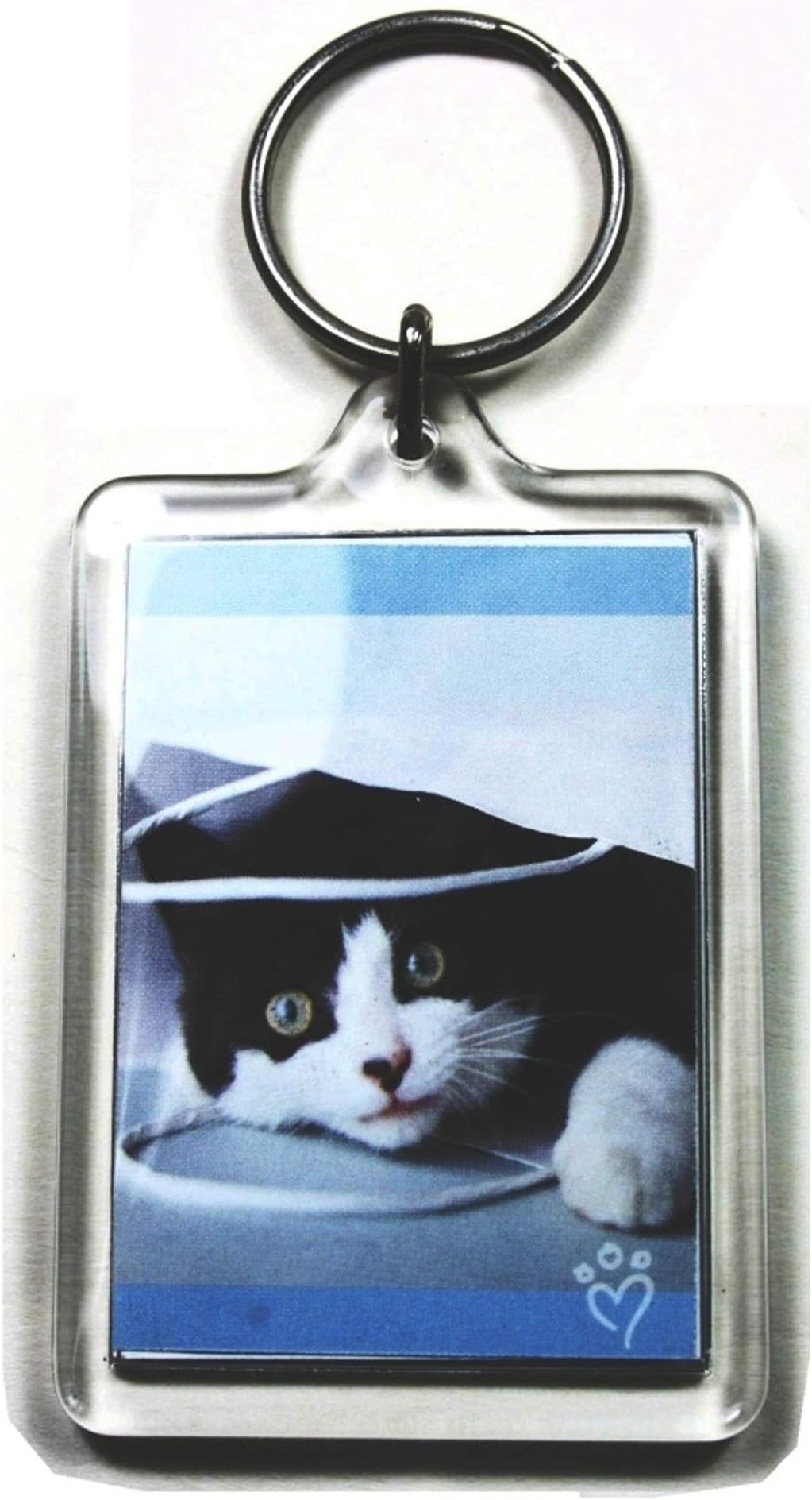 Kurtzy Blank Photo Insert Key chains (50 Pack) - Each Key ring is 3.2 x ...