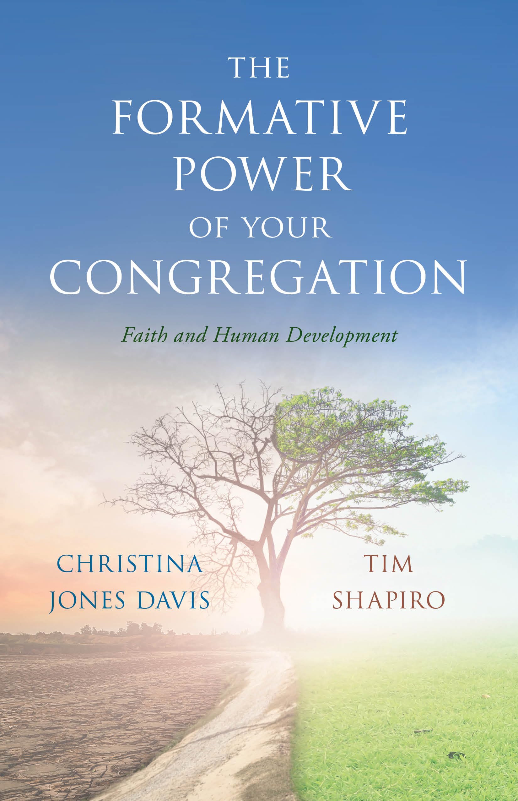 The Formative Power of Your Congregation: Faith and Human Development ...