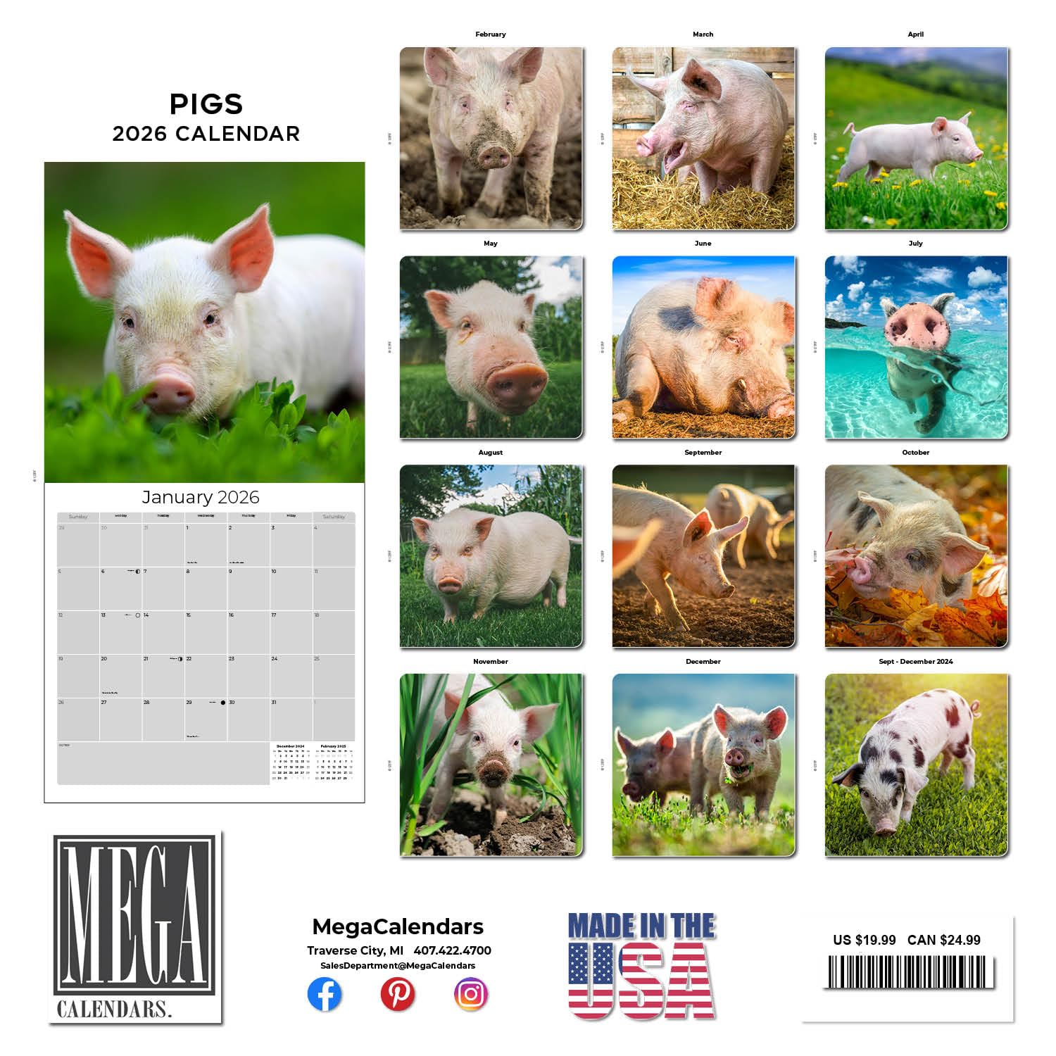 Snapklik.com : 2026 Pigs Calendar - Cute Farm Animal Monthly Wall ...
