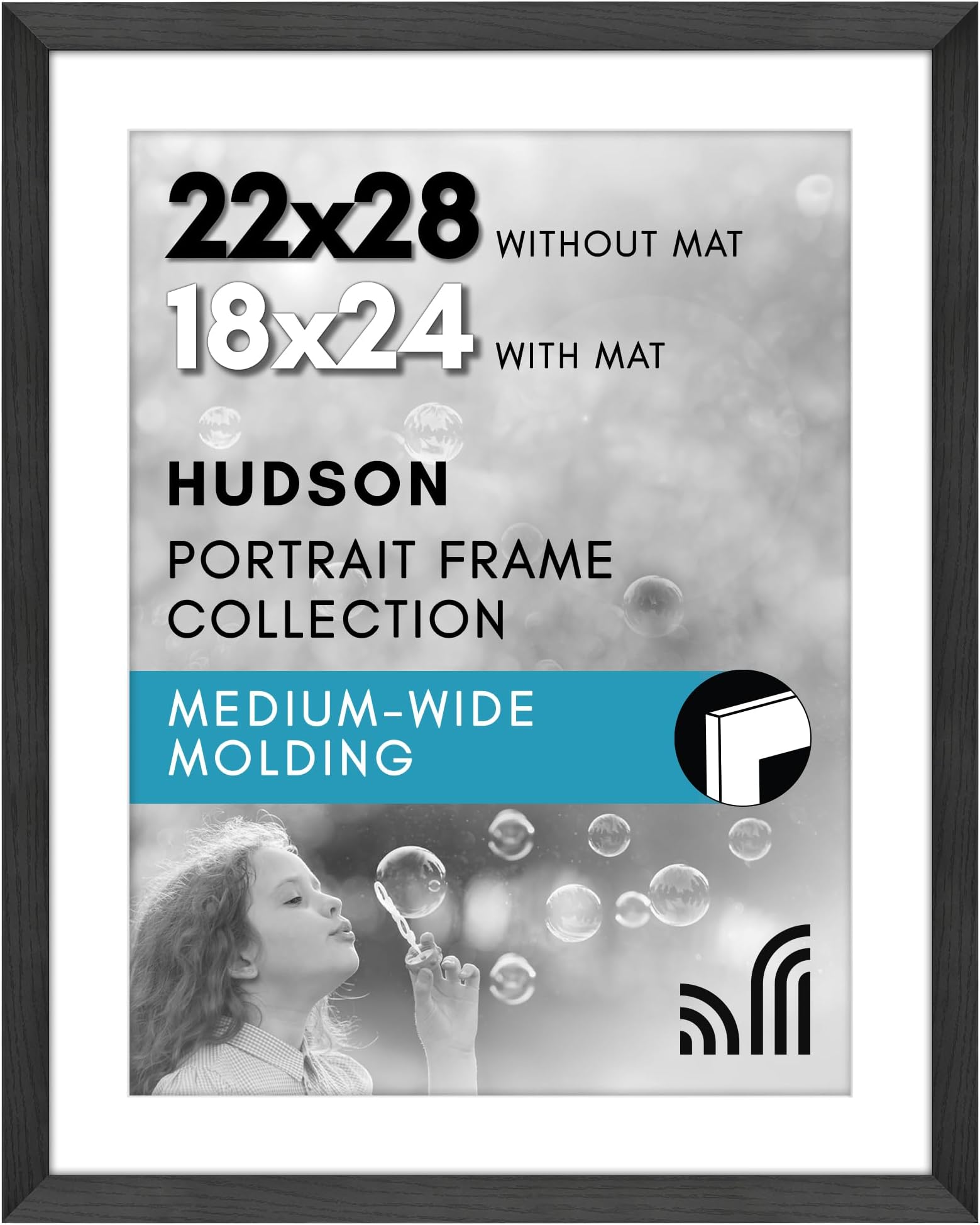 Amazon.com - Craig Frames 1WB3BK 22 by 28 Inch Picture Frame, Smooth ...