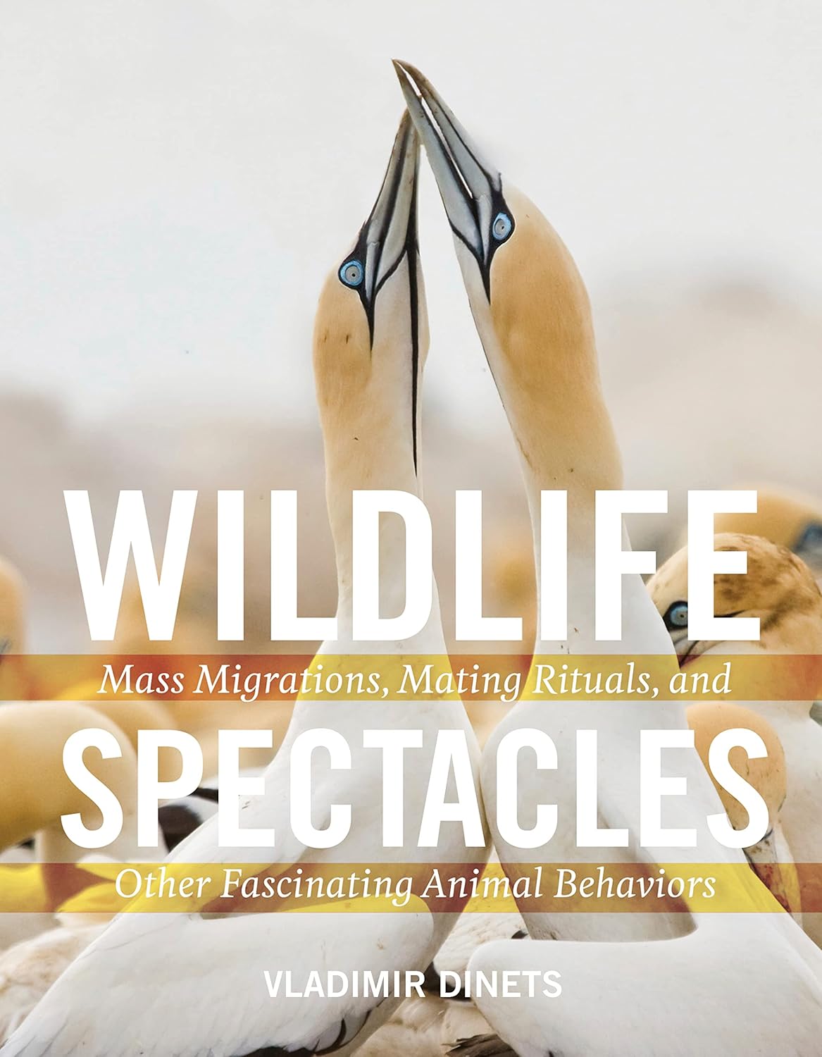 Wildlife Spectacles: Mass Migrations, Mating Rituals, and Other ...