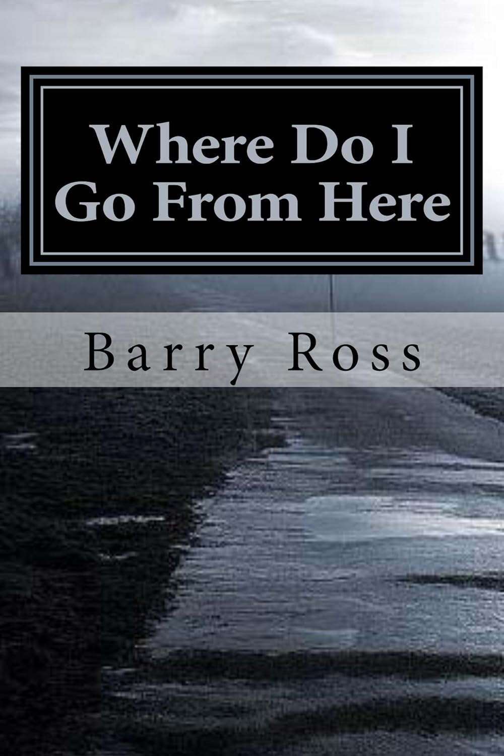 Amazon.com: Where Do I Go From Here eBook : Ross, Barry: Kindle Store