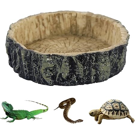 Morices Reptile Feeding Bowl, Resin Reptile Water Dish Food Bowl ...
