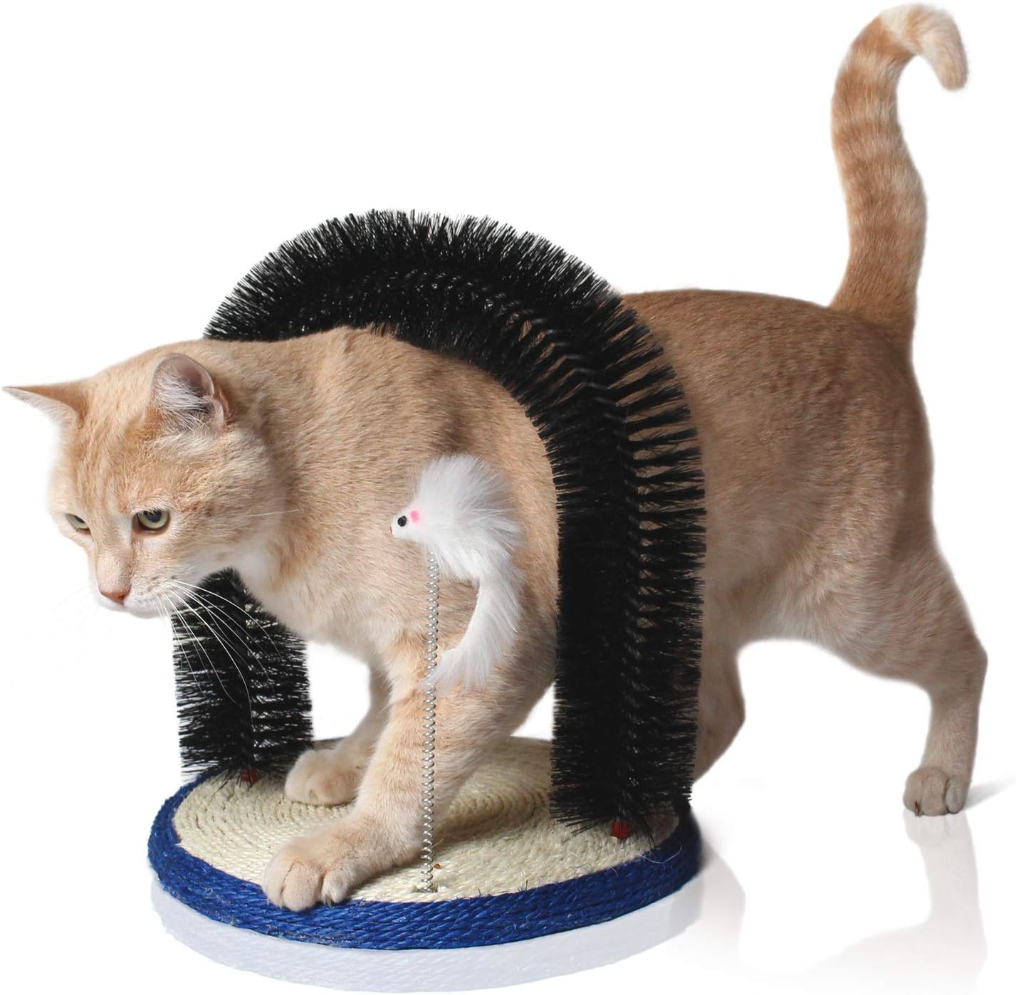 Bella & Balu Cat Arch incl. Catnip and Cat Toy - Self Groomer and ...