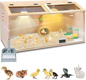 Amazon.com: Large Chicken Brooder Box 32", Thickened Pre-Drilled Holes ...