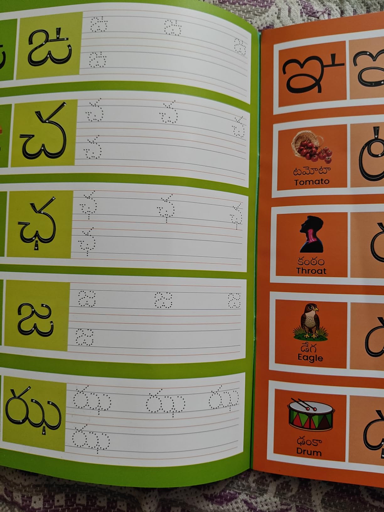 Buy Shopndia Telugu Eco-Friendly Reusable Notebook for Kids Handwriting ...