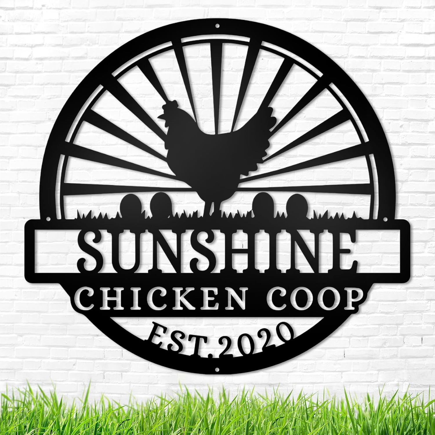 Amazon.com : Custom Metal Signs Chicken Coop Signs for Farm Yard Decor ...