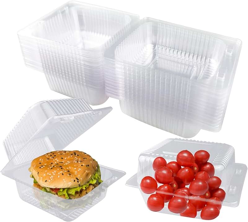 Amazon.com: clear plastic sandwich containers