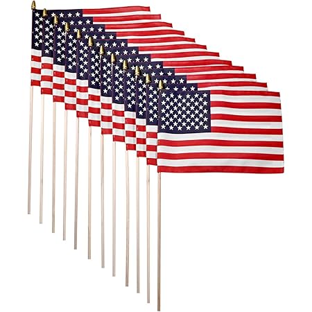 Amazon.com : USA Stick Flags - One dozen stick flags - 12" x 18 ...