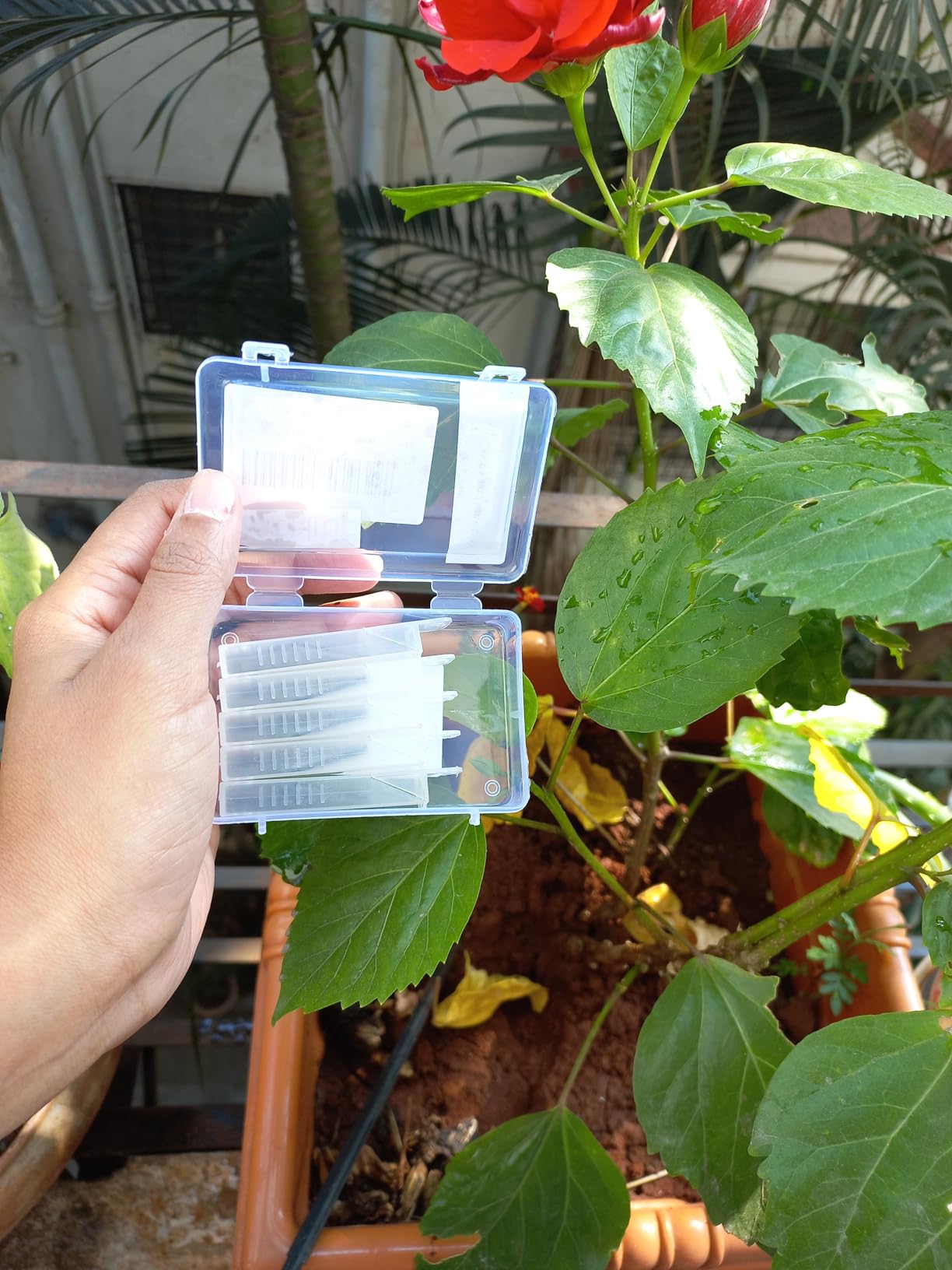 Qatalitic Knife Replacement Interchangeable Blades - Pack of 25 ...