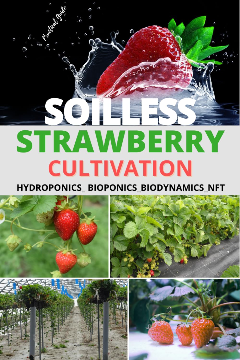 Amazon.com: Soilless strawberry cultivation: HYDROPONICS_ BIOPONICS ...