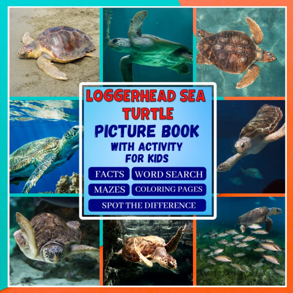 Buy Loggerhead Sea Turtle Picture Book with Activity for Kids: Facts ...