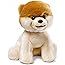 Amazon.com: GUND Boo The World's Cutest Dog from Laying Down Plush ...