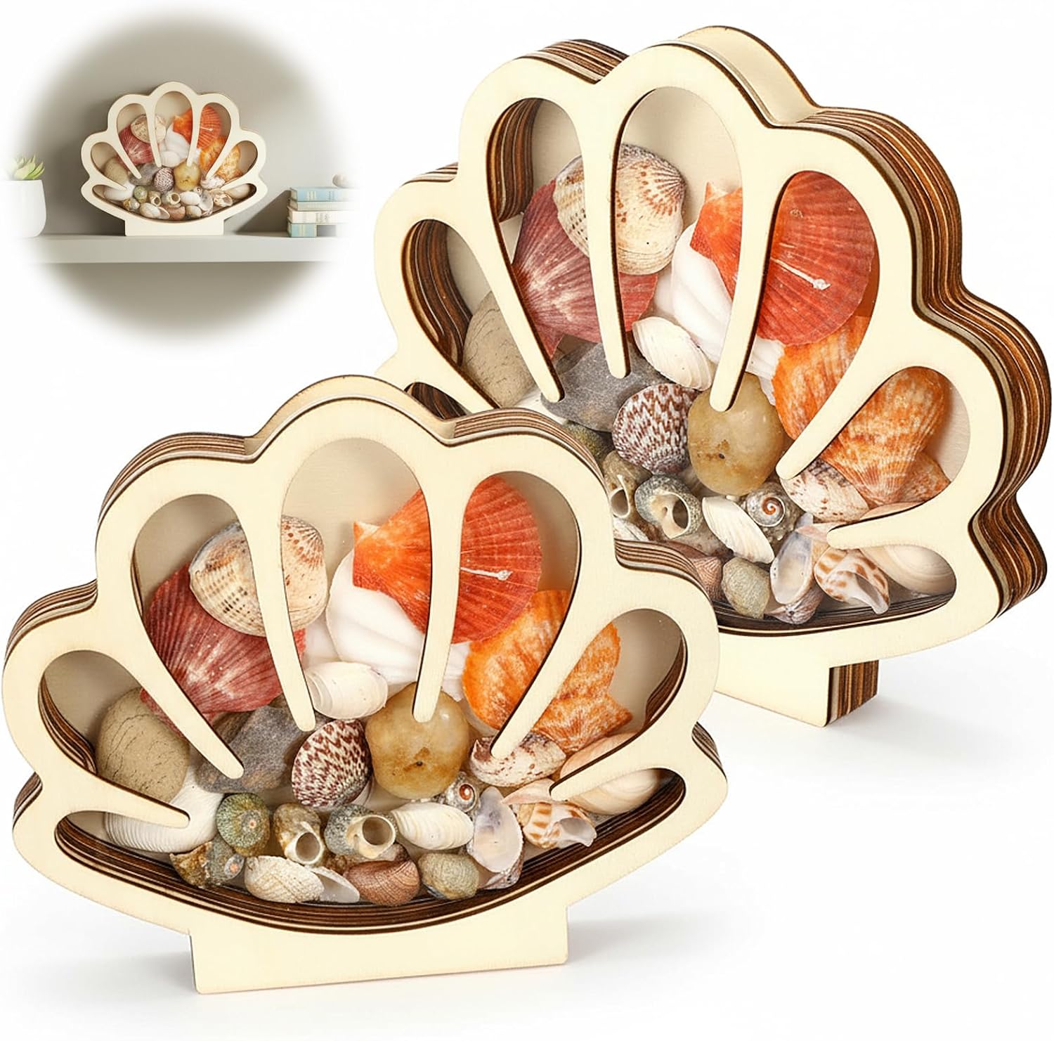 Amazon.com: Ckhoid 2PCS Sea Shell Holder, Wooden Seashell Display Case ...