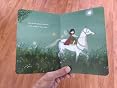 This Is Sadie: O'Leary, Sara, Morstad, Julie: 9781770495326: Amazon.com ...