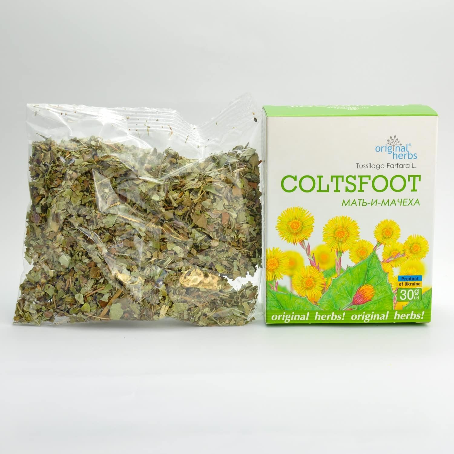 COLTSFOOT,TUSSILAGO FARFARA L | Original Herbs Herbal Tea – Wild ...