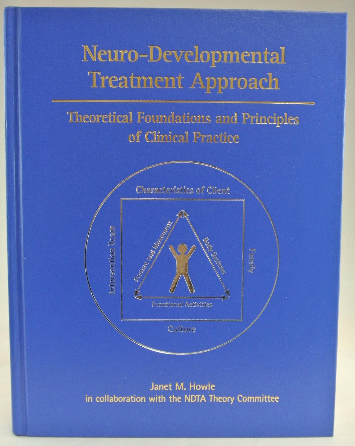 Neuro-developmental Treatment Approach: Theoretical Foundations ...