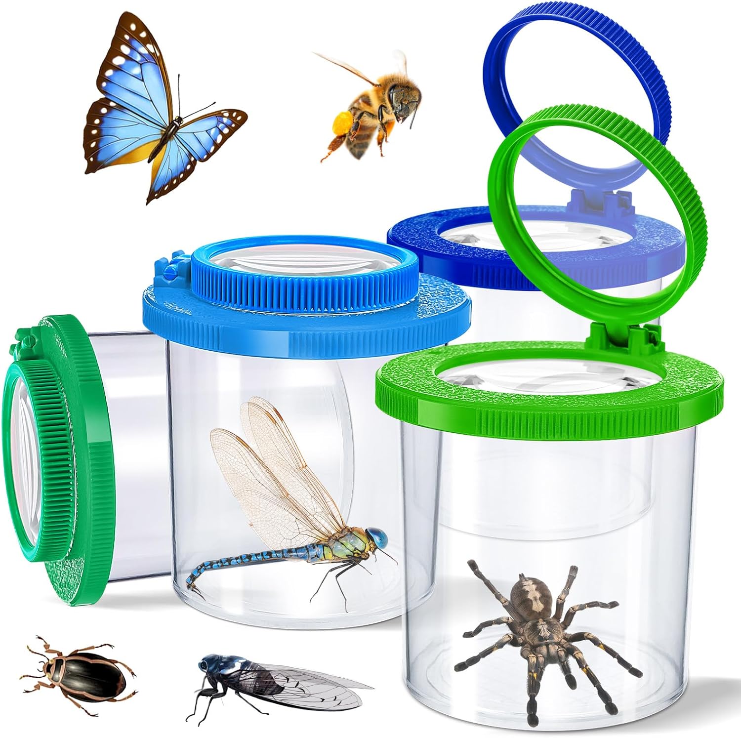 Insert Bug Viewer for Kids, 4PCS Magnifying Insect Box Bug Catcher Kit ...