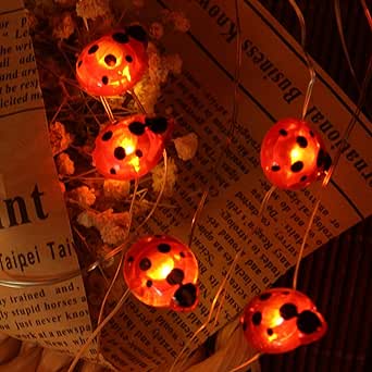 keeda Solar Ladybug String Lights, 30 LED Waterproof Copper Wire Ladybugs Twinkle Fairy String ...