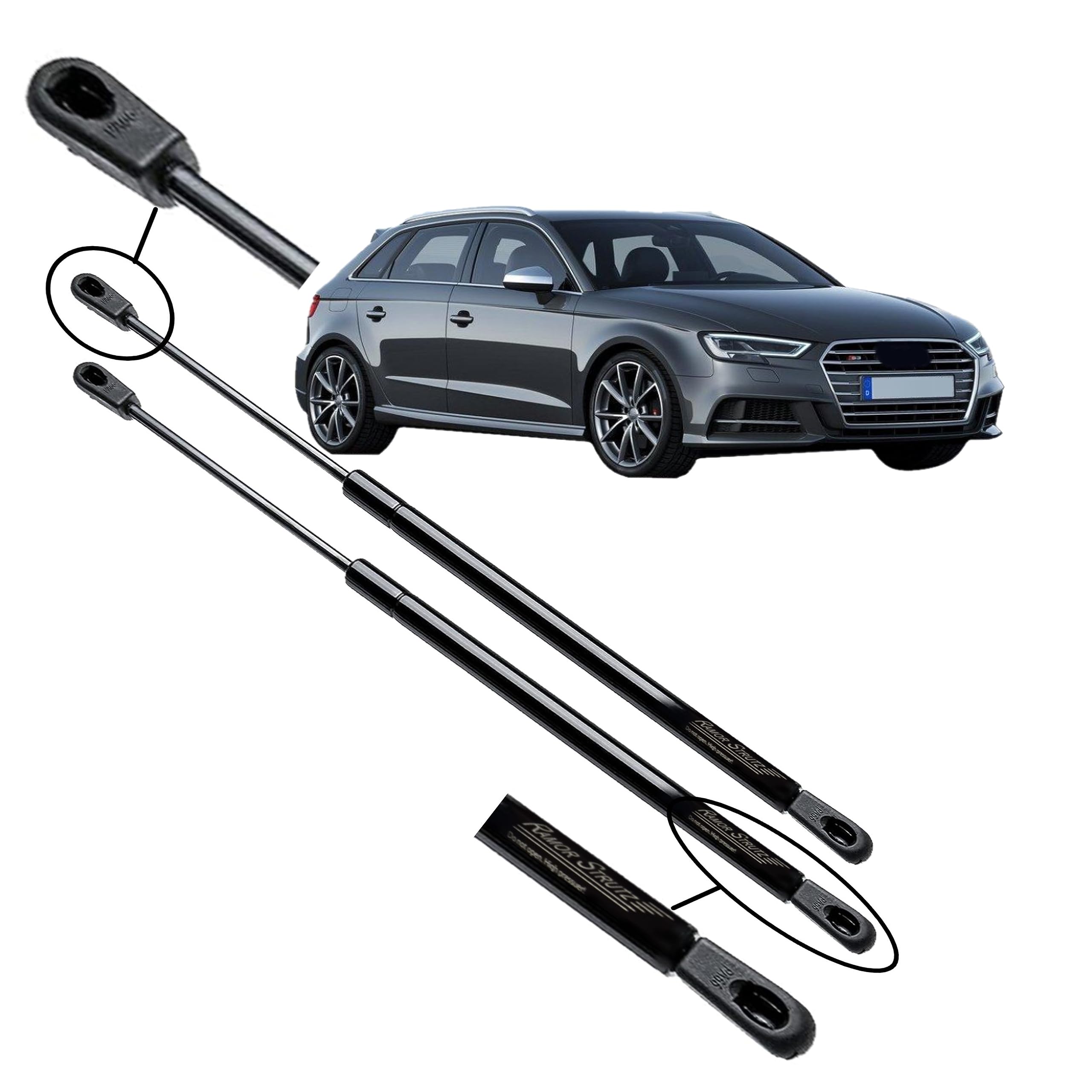 Ramor Strutz 2x Boot Gas Struts Compatible with a Audi A3 (8V1, 8VK ...